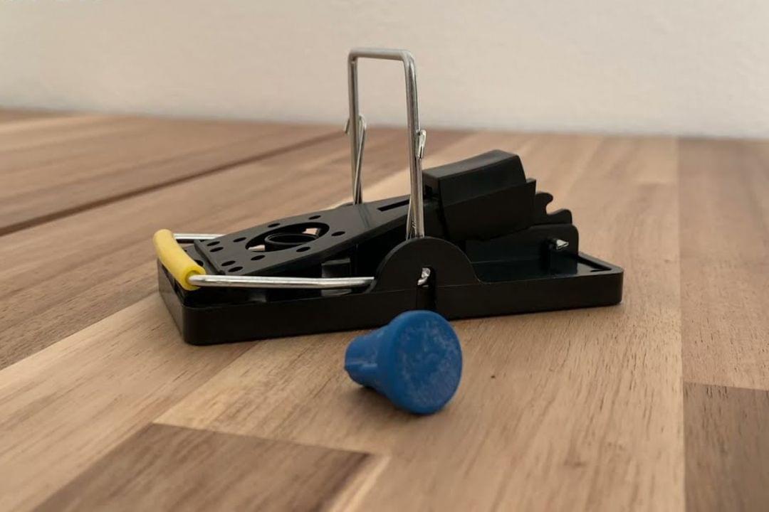 Muizenval zetten? Dit is het beste lokaas! - Pestor