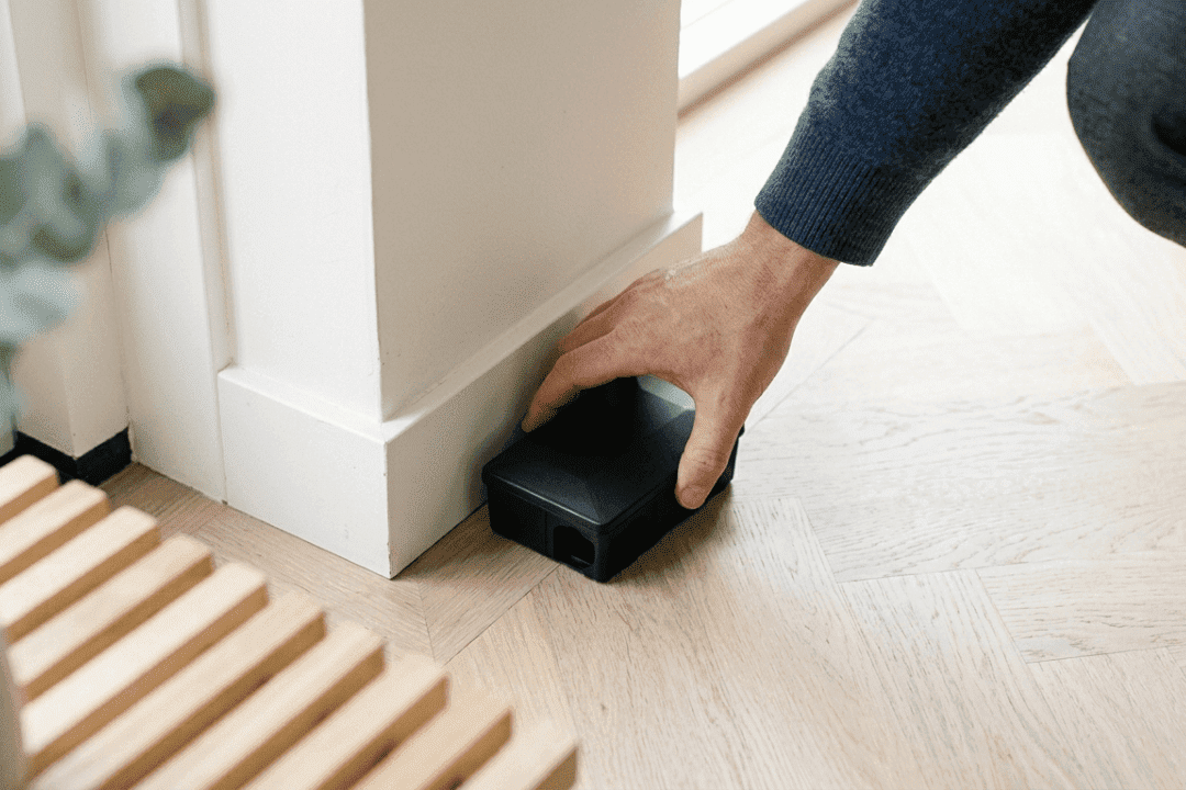 Wat is een steekvlieg? Tips en oplossingen tegen steekvliegen - Pestor